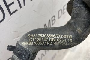 DEI9329 Mercedes-Benz S W222 Engine coolant pipe/hose A2228303896 ...