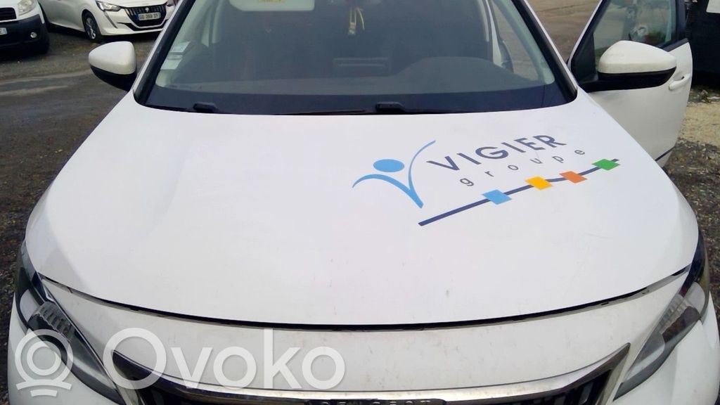 9842375180 Peugeot 3008 II Couvercle, capot moteur, 500,00 € | OVOKO