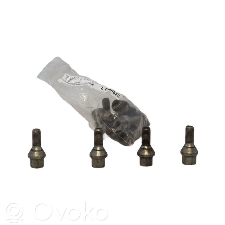 7703003008 Renault Clio III Écrous et boulons, 29,90 € | OVOKO