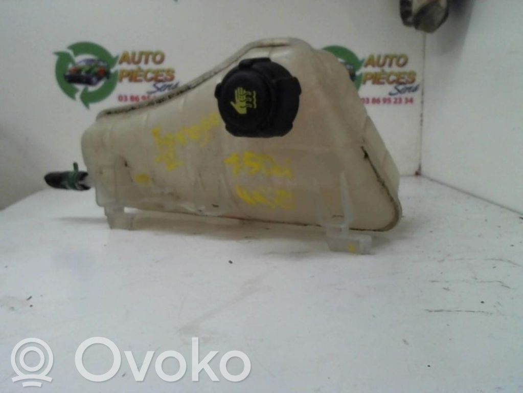 7701478318 Renault Kangoo II Serbatoio di compensazione del liquido ...