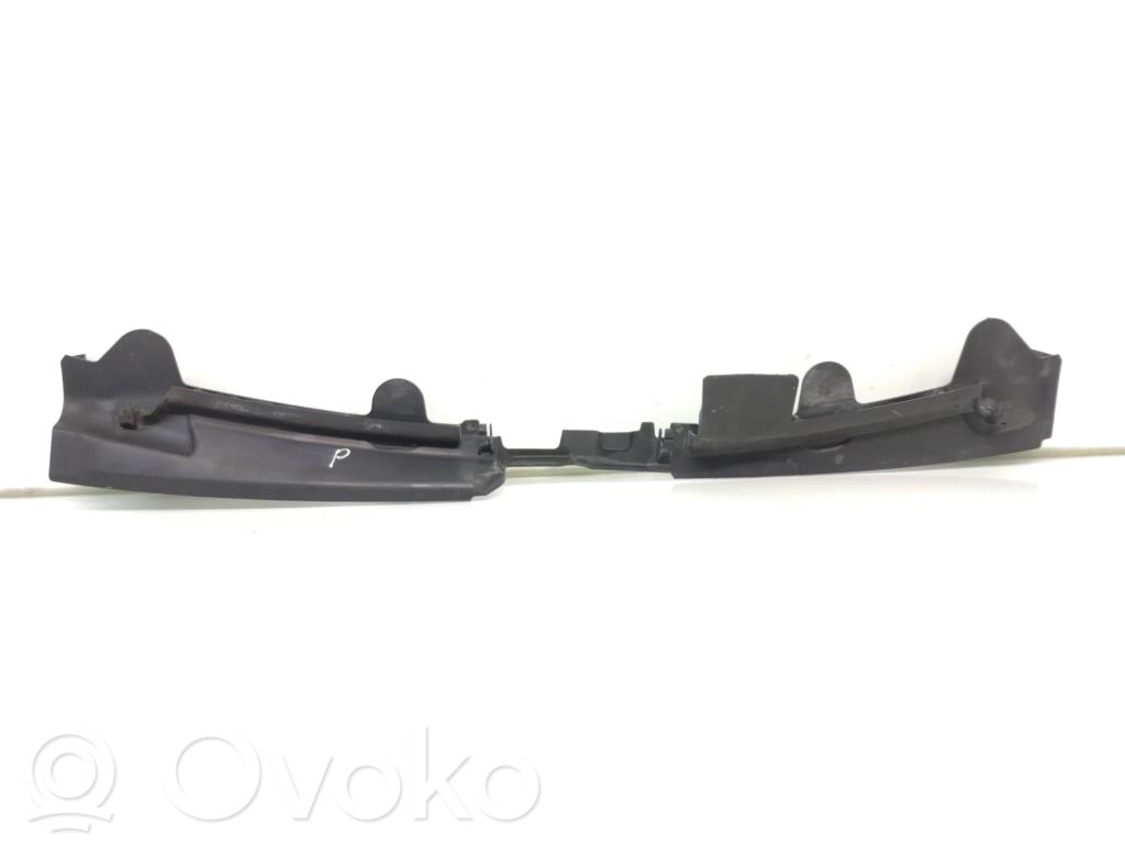 3AA121330 Volkswagen PASSAT B7 Engine bonnet/hood lock trim molding, € ...