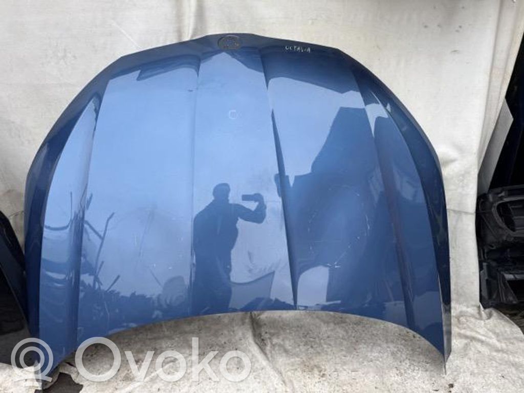 Skoda Octavia Mk4 Engine bonnet/hood, €128.47 | RRR