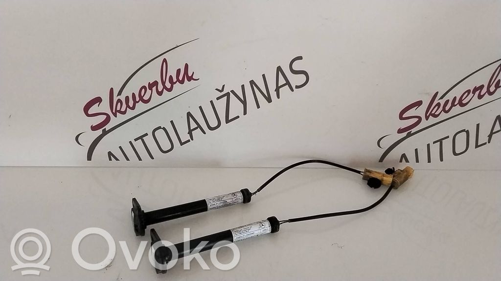 2228870010 Mercedes-Benz S W222 Actionneur piéton de capot, 120,00 ...