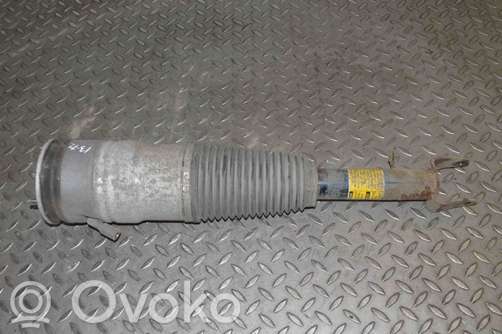 600635100C Tesla Model S Air suspension front shock absorber, €210.00 | RRR