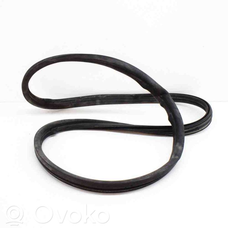 Tesla Model 3 Rubber seal front coupe door, €27.00 | RRR
