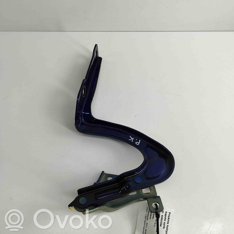 149626700C Tesla Model Y Charnière, capot moteur, 42,00 € | OVOKO