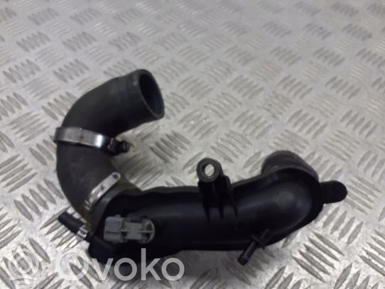 8200770644 Renault Kangoo I Durite de refroidissement tube, 20,00 € | OVOKO