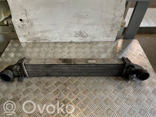 A2115001002 Mercedes-Benz E W211 Refroidisseur intermédiaire, 80,09 ...