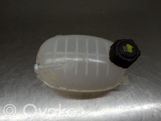 217102572R Renault Captur II Vase d'expansion / réservoir de liquide de ...