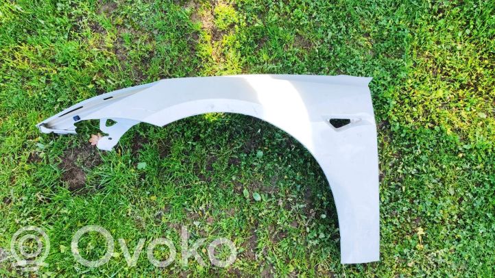Blotnikteslay Tesla Model Y Fender, 305.88 € | RRR