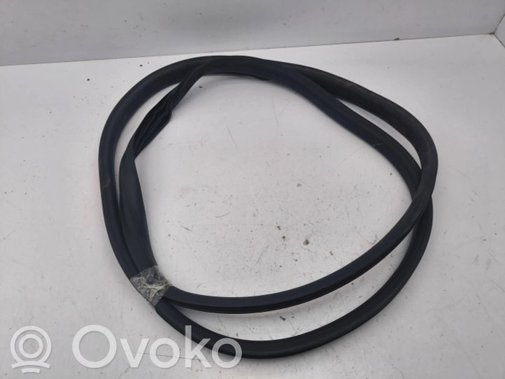 Renault Zoe Front door rubber seal, 40.00 € | RRR