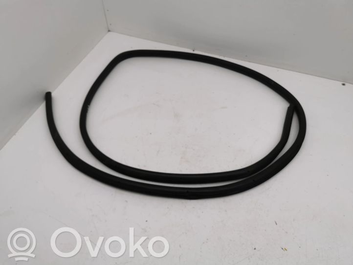 Nissan Juke II F16 Rear door rubber seal (on body), 40.00 € | RRR