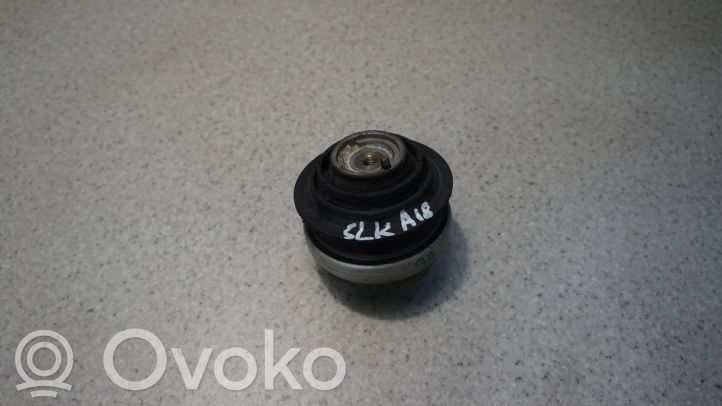 1722400417 Mercedes-Benz SLK R172 Engine mount vacuum valve, 18.59 € | RRR