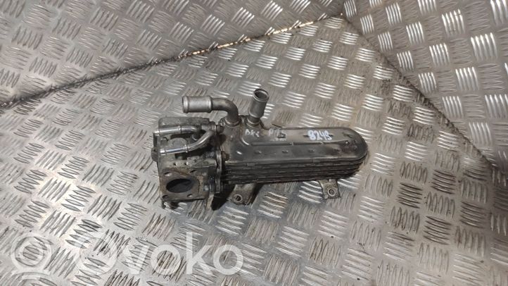 038131513AD Volkswagen PASSAT B6 Refroidisseur de vanne EGR, 12.00 ...