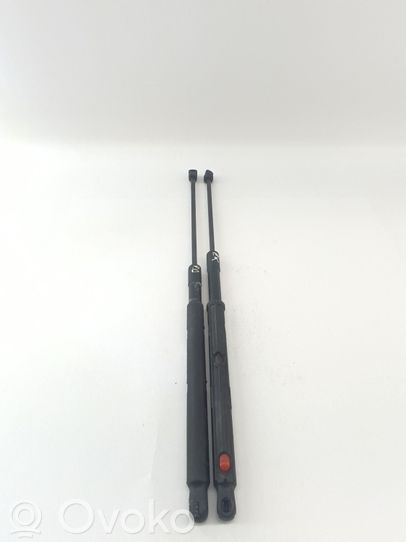 A1648800129 Mercedes-Benz ML W164 Vérin, capot-moteur, 20.00 € | OVOKO