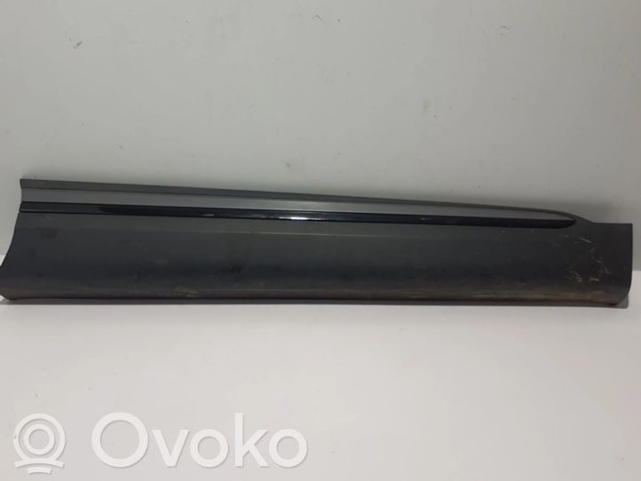 801869320R Renault Arkana Front door trim (molding), 114.00 € | RRR