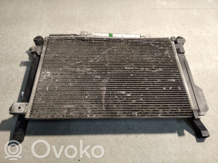 A1695000303 Mercedes-Benz Sprinter W906 A/C cooling radiator (condenser ...