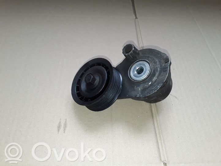 25182787 Chevrolet Captiva Generator/alternator belt tensioner, 8.00 ...