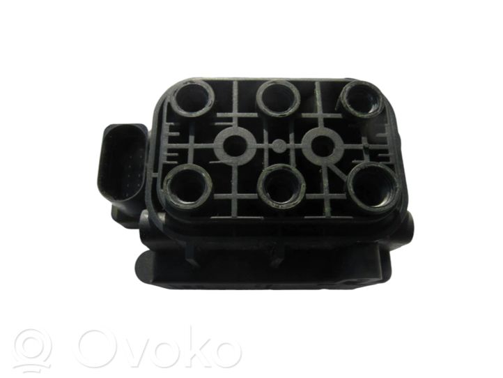 A2513200058 Mercedes-Benz S W221 Air suspension valve block, 49.41 € | RRR