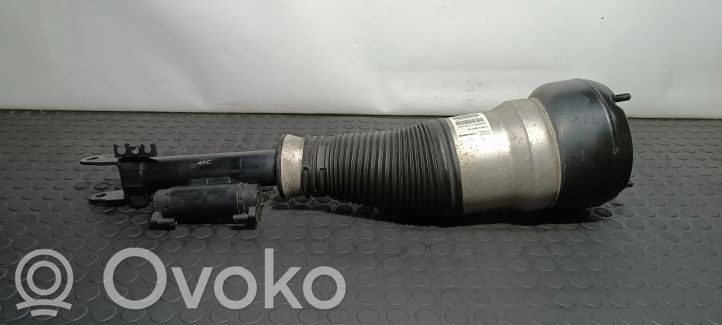 A2223204813 Mercedes-Benz S W222 Front shock absorber/damper, 399.00 ...