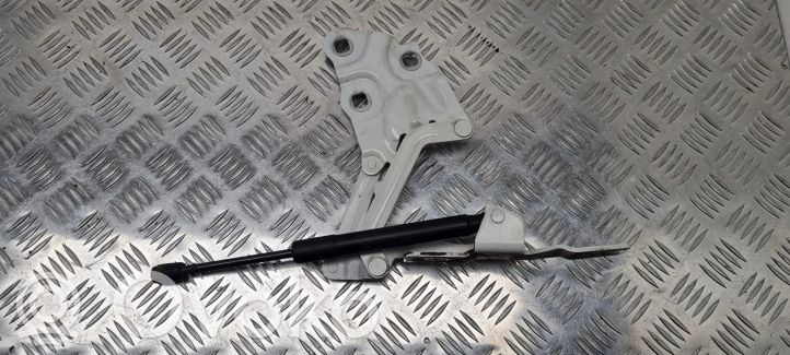 BMW X3 F25 Engine bonnet/hood hinges, 33.60 € | RRR