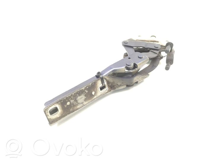 Volkswagen PASSAT B7 Engine bonnet/hood hinges, 26.25 € | RRR