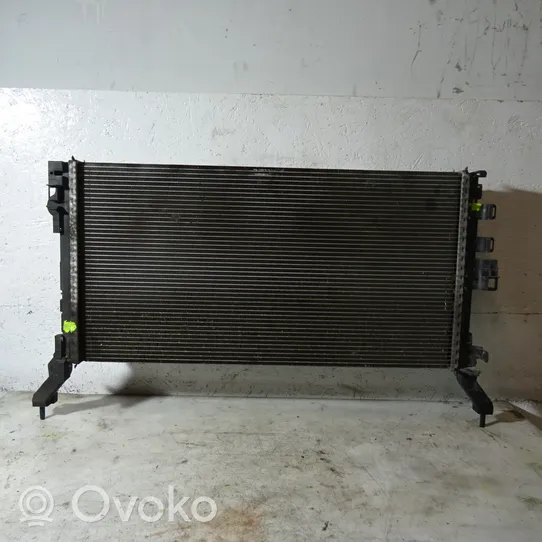 214000035R Renault Laguna III Radiateur de refroidissement, 81.18 € | OVOKO