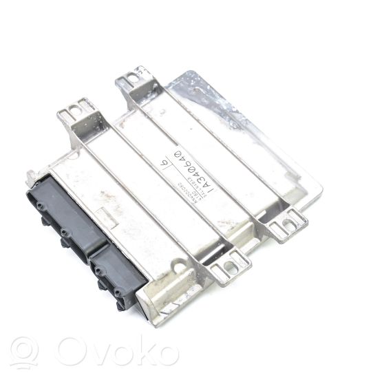 NNN100710 Land Rover Freelander Unité de commande, module ECU de moteur ...