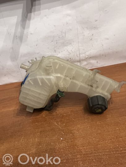 EPG17652 Renault Laguna III Coolant expansion tank/reservoir 217100014R ...