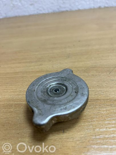 1245000406 Mercedes-Benz E W210 Serbatoio di compensazione del liquido ...