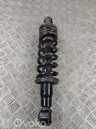 6020016281 Alpine A110 Rear shock absorber/damper, 160.00 € | RRR
