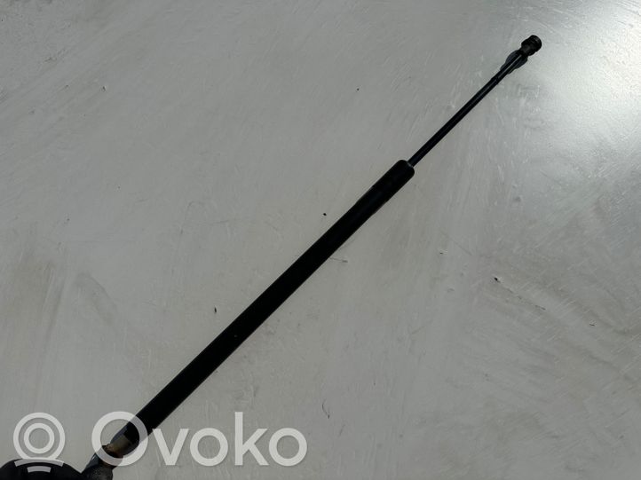 51248402405 BMW X5 E53 Tailgate/trunk strut/damper, 10.00 € | RRR