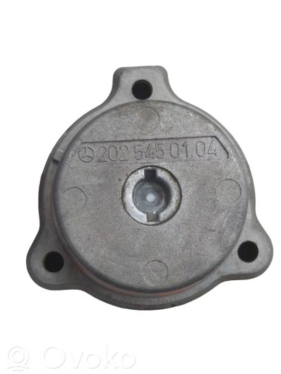2025450104 Mercedes-Benz C W202 Ignition lock contact, 13.00 € | RRR
