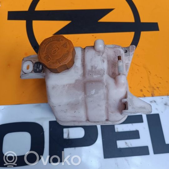 95025829 Opel Antara Coolant expansion tank/reservoir, 40.00 € | RRR