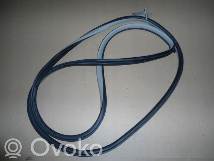 Infiniti G35 Sliding door rubber seal, 15.88 € | RRR