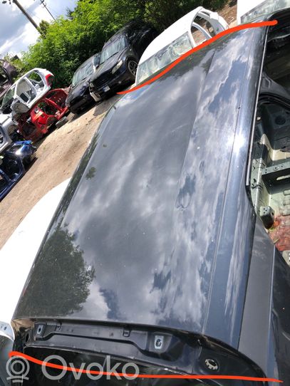 Citroen C4 Cactus Roof, 250.00 € | RRR