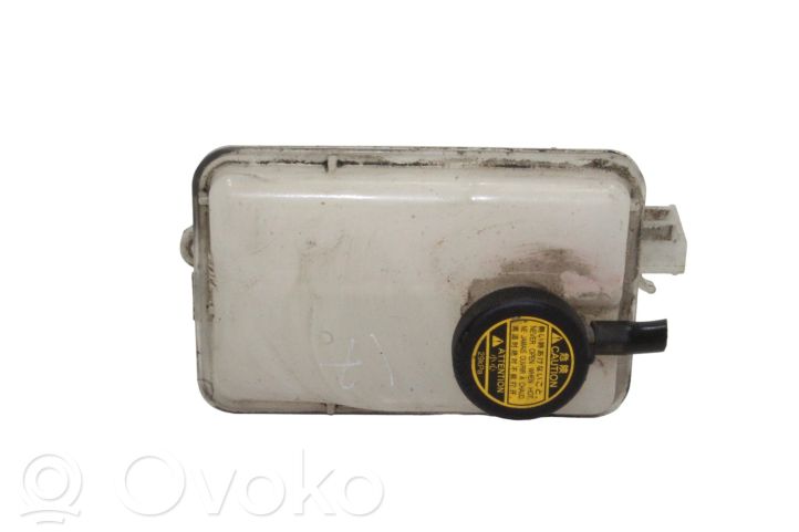 Lexus RX 450H Coolant expansion tank/reservoir, 9.00 € | RRR