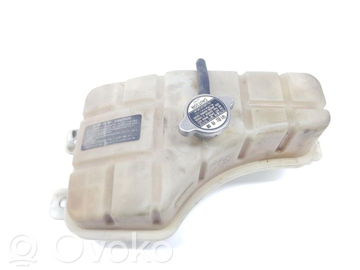 254303E201 KIA Sorento Coolant expansion tank/reservoir, 39.87 € | RRR