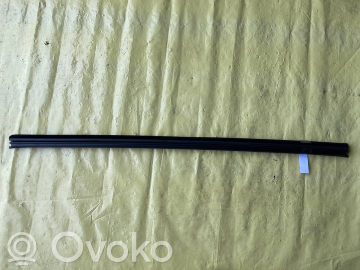 A1697250365 Mercedes-Benz B W245 Front door glass trim molding, 8.73 ...