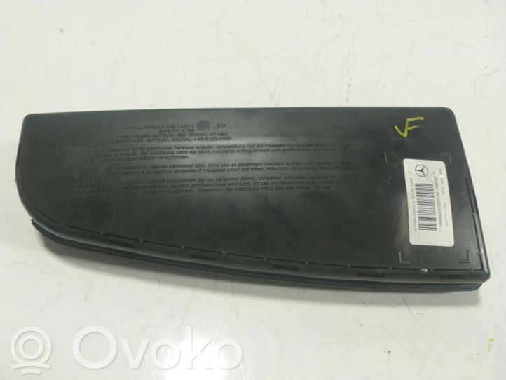 A1668600502 Mercedes-Benz ML AMG W164 Side airbag, 97.44 € | RRR