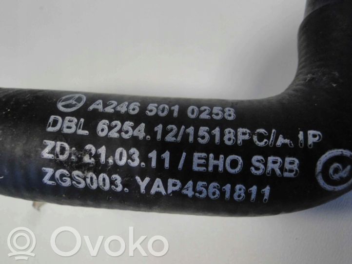 A2465010258 Mercedes-Benz CLA C117 X117 W117 Tubo flessibile del ...