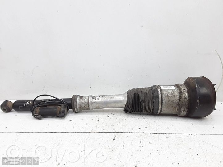 2213202113 Mercedes-Benz S AMG W221 Rear shock absorber/damper, 148.28 ...