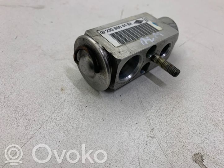 2308300184 Mercedes-Benz S W221 Air conditioning (A/C) expansion valve ...
