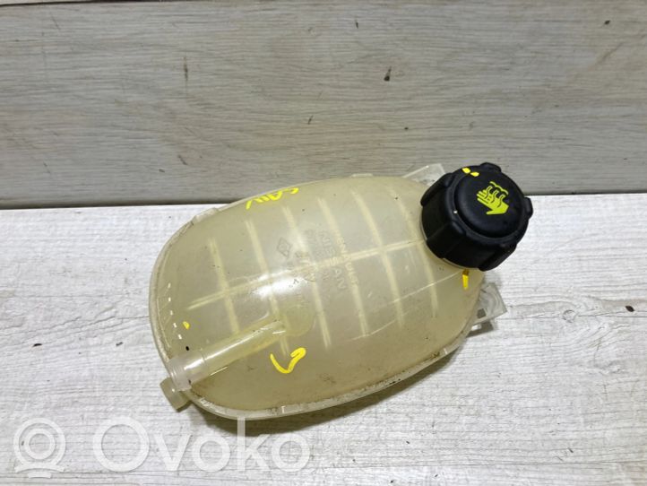 217102572R Dacia Sandero III Coolant expansion tank/reservoir, 7.06 € | RRR