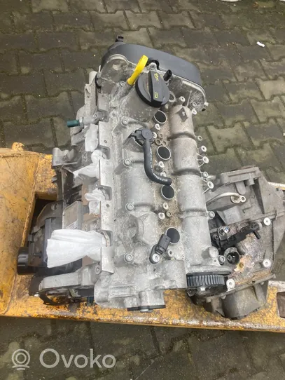 cyv Volkswagen Beetle A5 Engine, 635.29 € | RRR