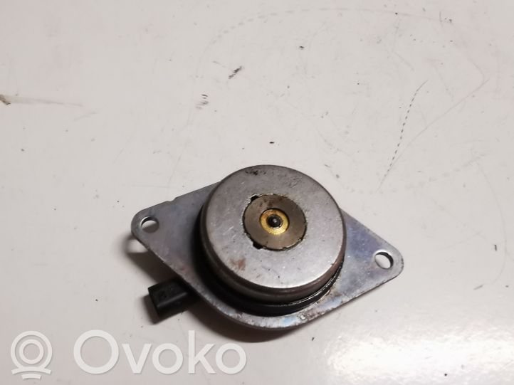 25195245 Buick Encore I Camshaft pulley/ VANOS, 45.00 € | RRR