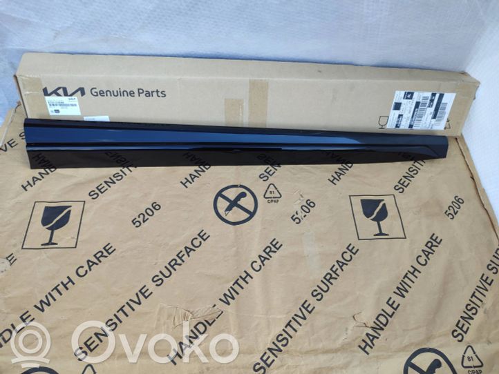 87721CVDA0 KIA EV6 Moulure de porte avant, 185.88 € | OVOKO