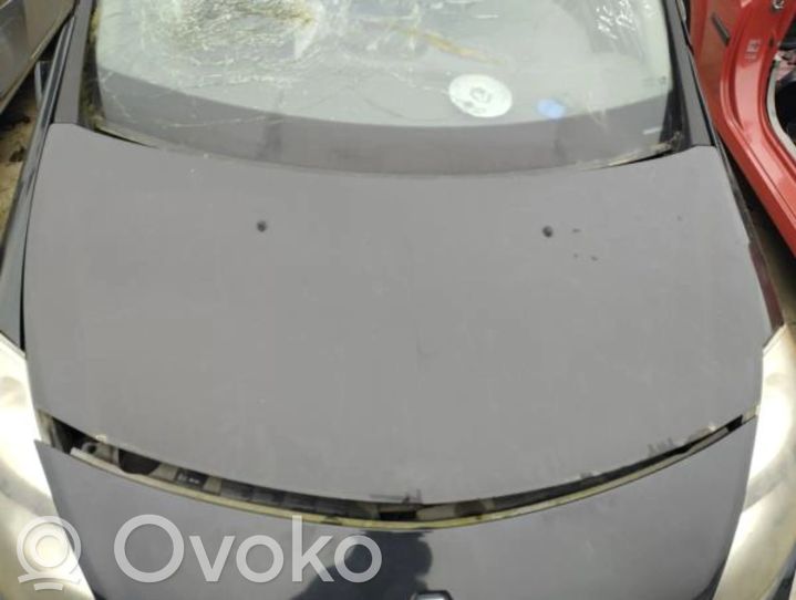 Renault Clio III Engine bonnet/hood, 80.00 € | RRR