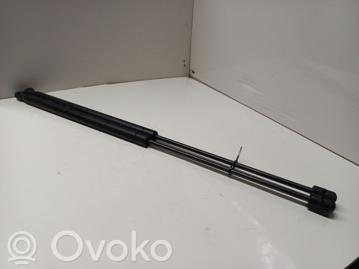 Skoda Octavia Mk2 (1Z) Tailgate/trunk strut/damper, 15.00 € | RRR