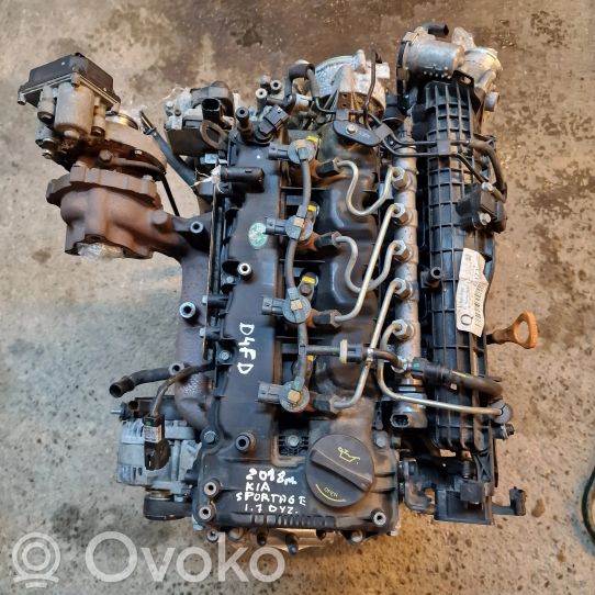 D4FD KIA Sportage Engine, 3200.00 € | RRR
